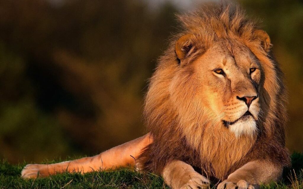 Home - Coal-is-Dirty